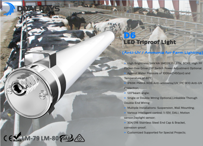 LED Tri Proof Light Waterproof D6 LED Tube Light IK06 IP69 160LPW