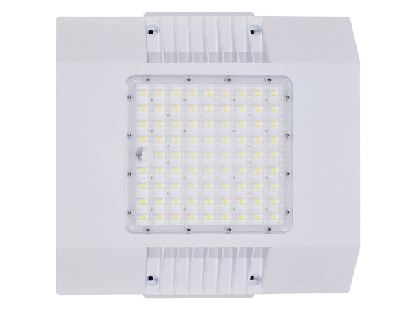 Explosion-proof 100W LED Canopy Lights for Gas Station